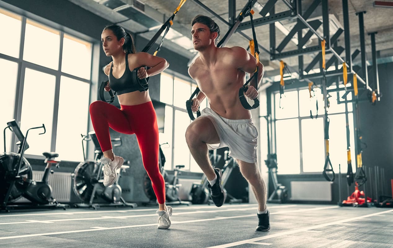 Exercise Equipment Options - Muscle Media